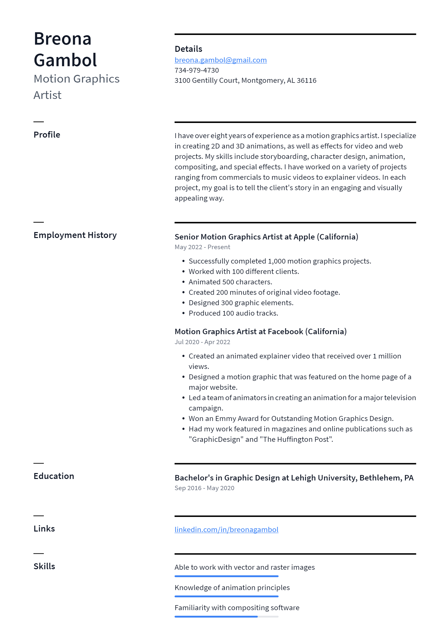 Motion Graphics Artist Resume Example and Writing Guide