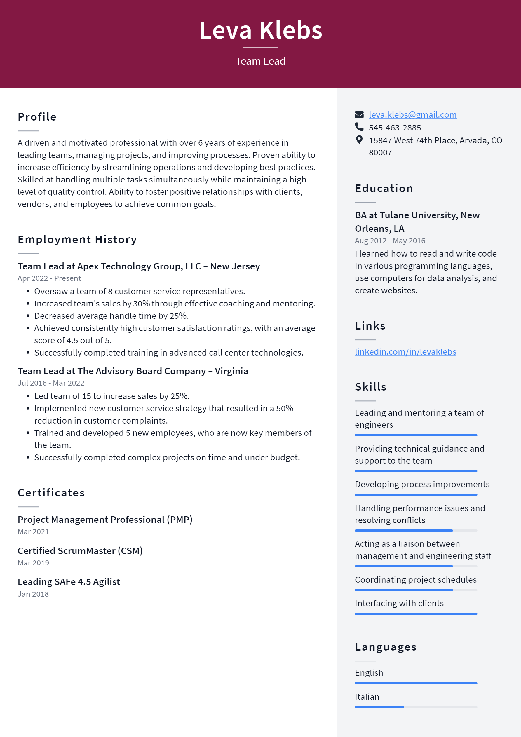 Team Lead Resume Example and Writing Guide - ResumeLawyer