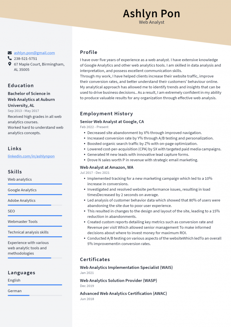 Web Analyst Resume Example and Writing Guide - ResumeLawyer